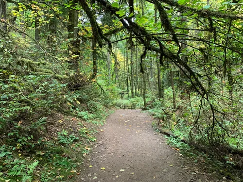 10 Best Trails and Hikes in Portland | AllTrails