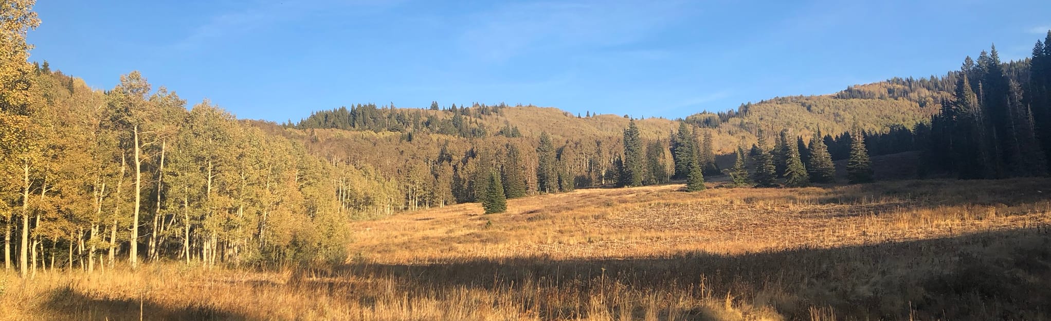 Desolation Lake Loop via Little Water Trail to Old Red Pine Road - Utah ...