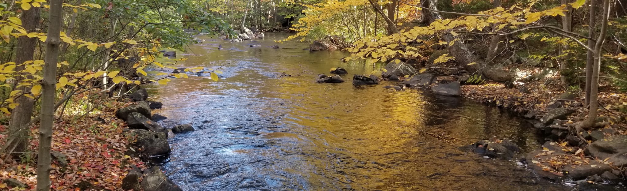 Mill Run Trail , Nova Scotia, Canada - 30 Reviews, Map | AllTrails