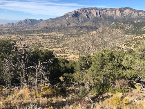 10 Best Trails and Hikes in Cedar Crest | AllTrails