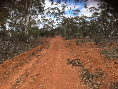 2023 Best Wild Flowers Trails in Fraser Range | AllTrails