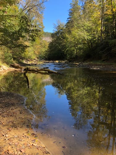 2023 Best River Trails in Clifty Wilderness | AllTrails