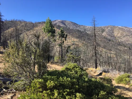 10 Best Trails and Hikes in Forest Falls | AllTrails