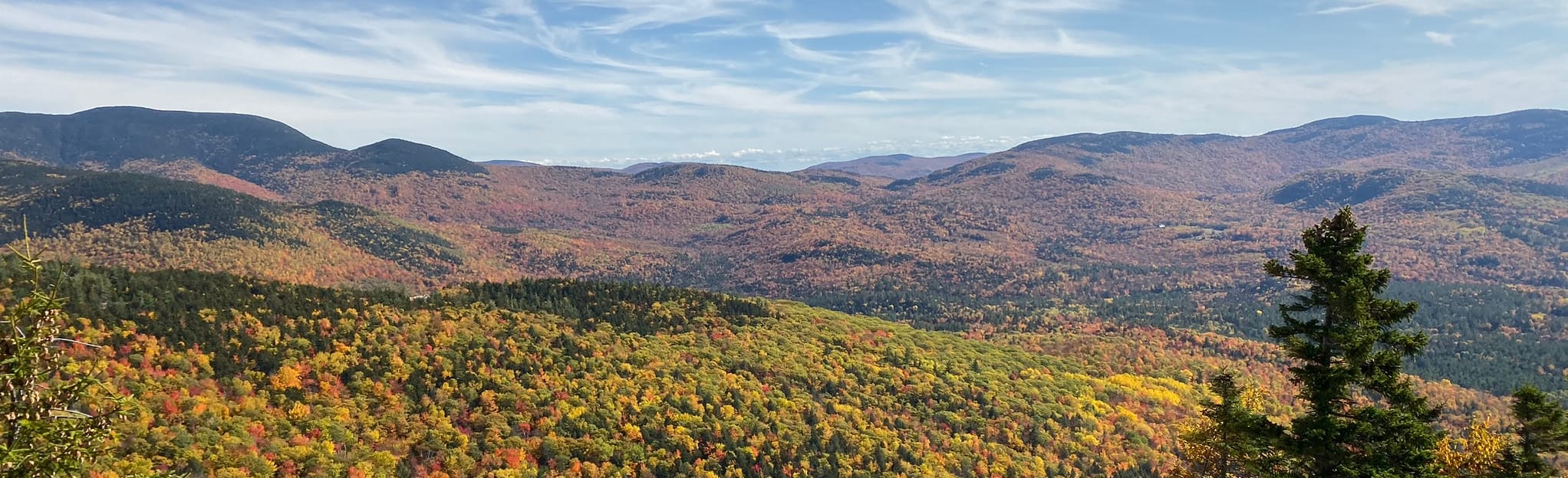 Welch-Dickey Loop Trail, New Hampshire - 6,863 Reviews, Map | AllTrails