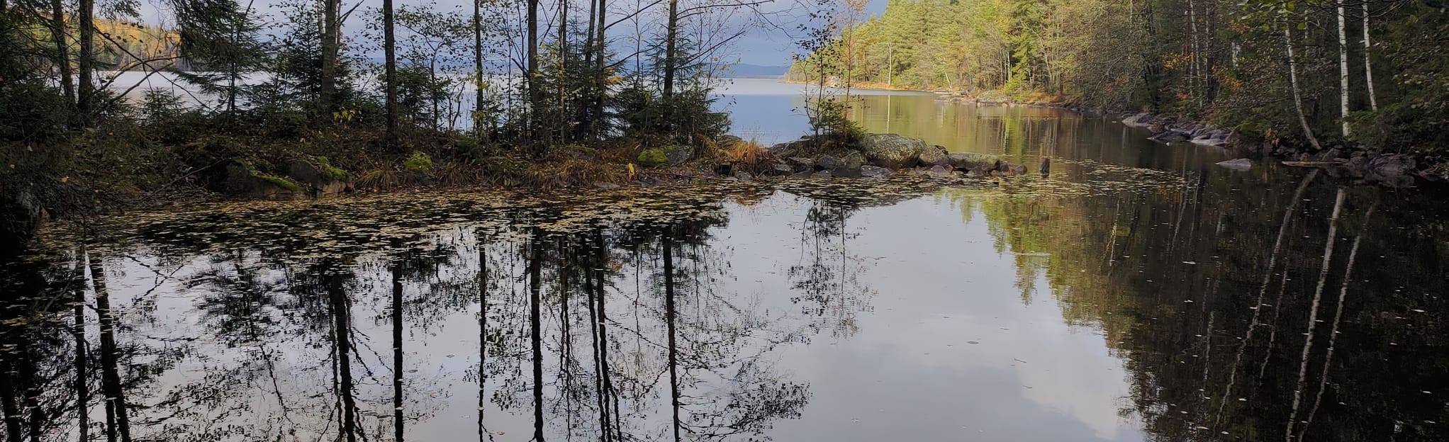 Glaskogen Lenungshammar - Övre Gla - Värmland, Sweden | AllTrails