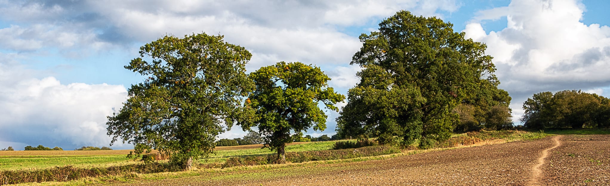 Rotherwick Circular: 87 Reviews, Map - Hampshire, England | AllTrails