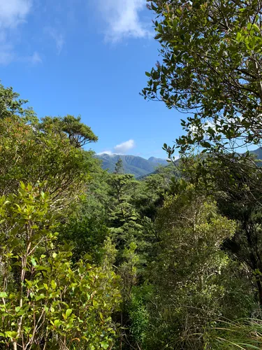 10 Best Hikes and Trails in Tararua Forest Park | AllTrails