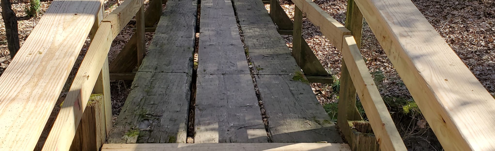 Walter B. Jacobs Memorial Park Short Loop: 7 Reviews, Map - Louisiana ...