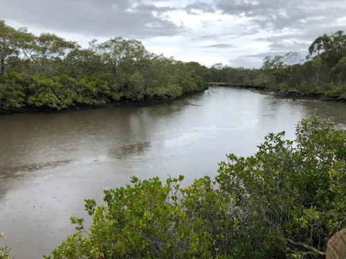 Best Hikes and Trails in Tingalpa Creek Reserve | AllTrails