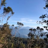 Gunung Yong Belar, Kelantan, Malaysia - 51 Reviews, Map | AllTrails