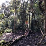 Gunung Yong Belar, Kelantan, Malaysia - 76 Reviews, Map | AllTrails