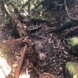 Gunung Yong Belar, Kelantan, Malaysia - 76 Reviews, Map | AllTrails