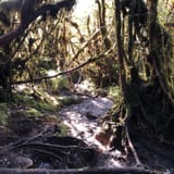 Gunung Yong Belar, Kelantan, Malaysia - 51 Reviews, Map | AllTrails