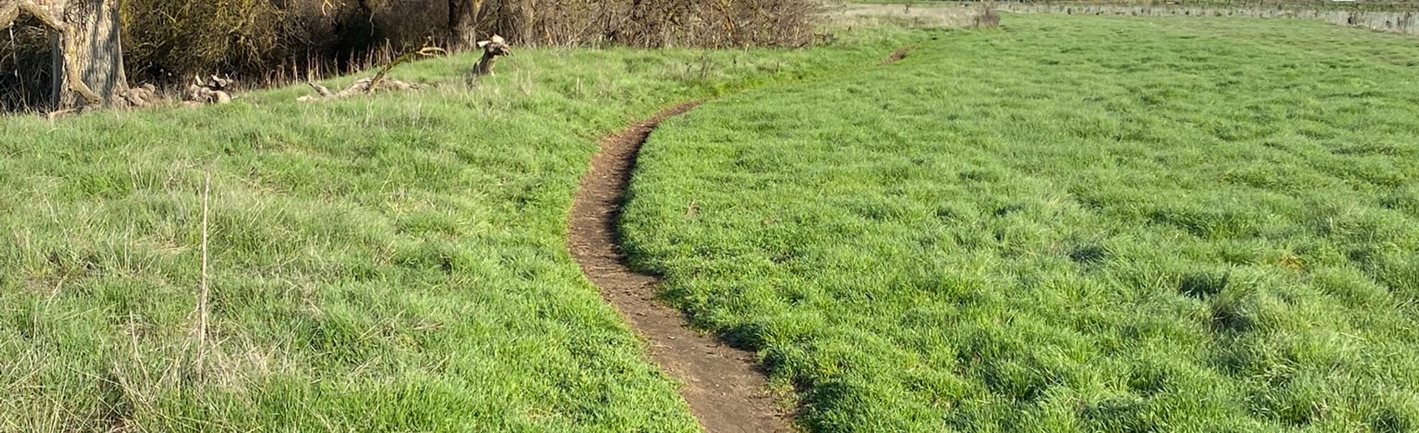 Lewis Eaton and Tom Macmichael Loop Trail , California - 190 Reviews ...