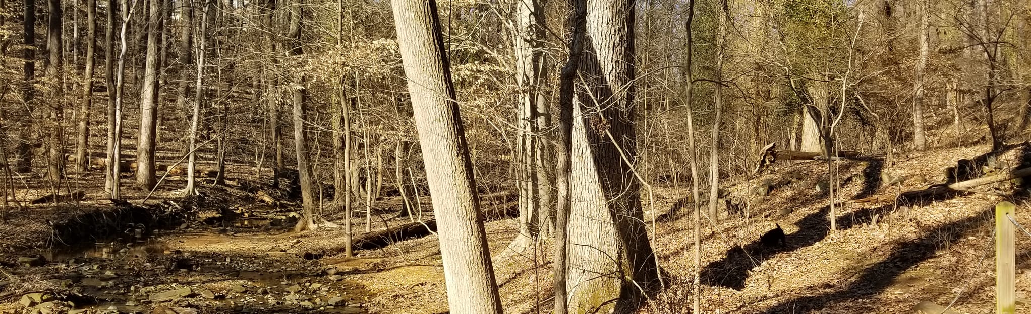 CCBC Trail | Map, Guide - Maryland | AllTrails