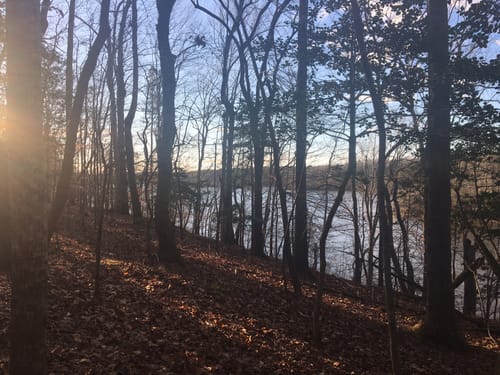 2023 Best trails in Forest Ridge Park | AllTrails