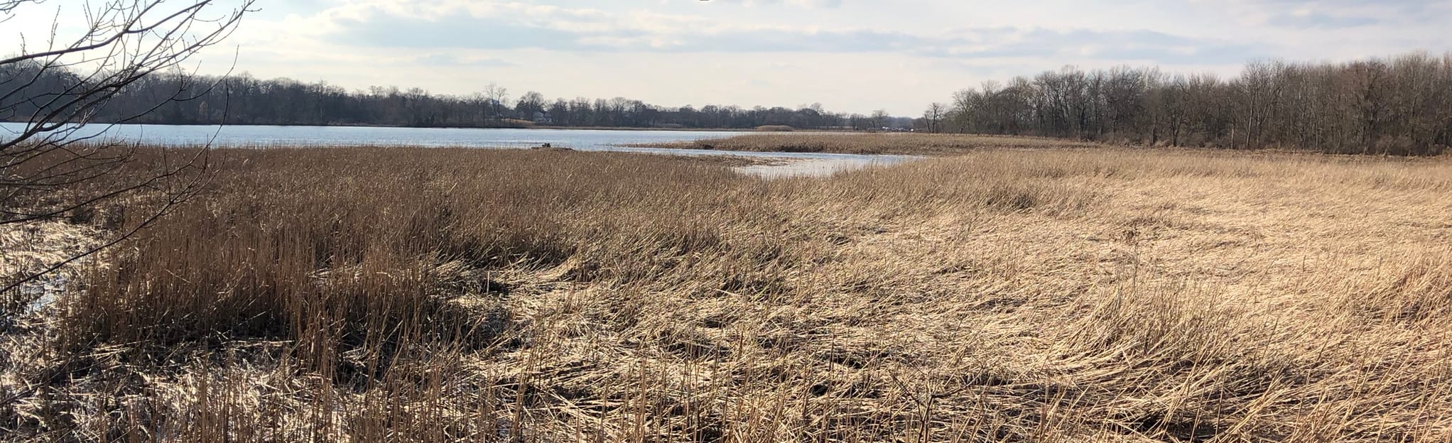 Pennington Park Trail, New Jersey - 139 Reviews, Map | AllTrails