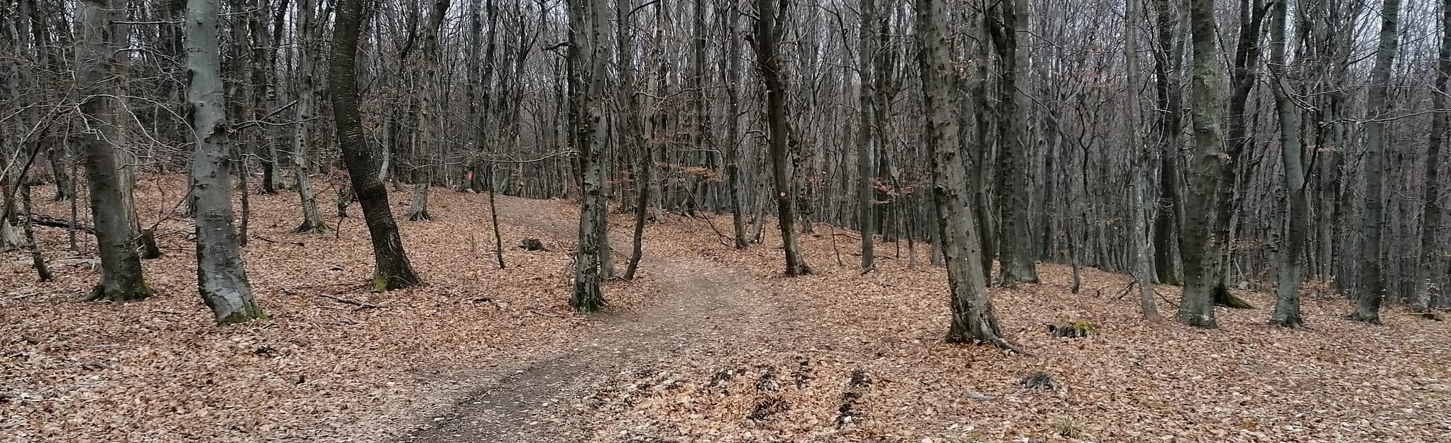 Ponikve - Kameni Svati - Glavica: 14 Reviews, Map - City of Zagreb ...