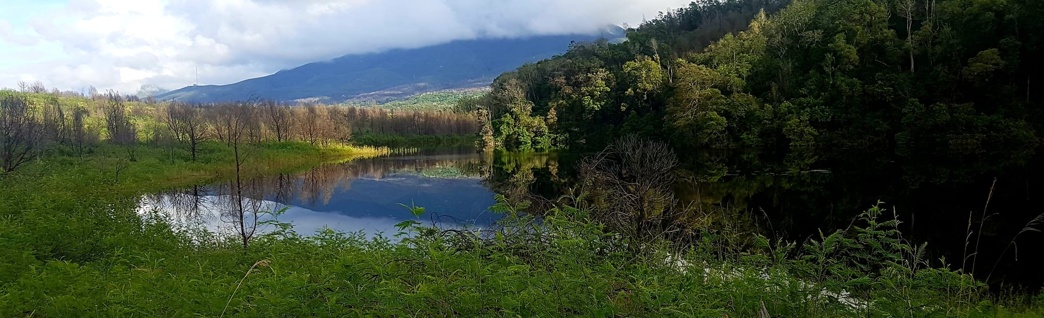 Dikkop Circular Trail: 80 foto's - West-Kaap, Zuid-Afrika | AllTrails