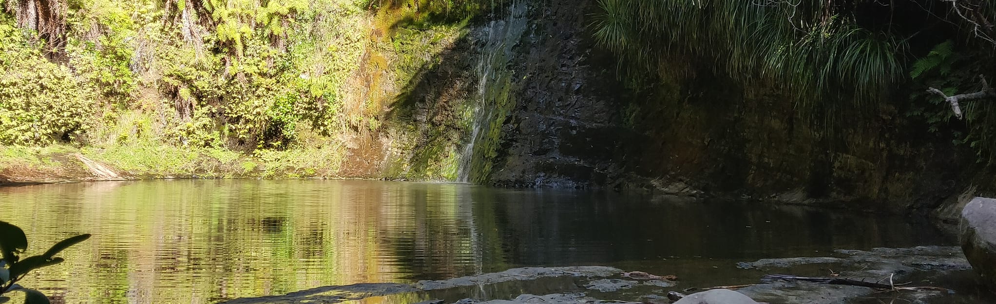 Omeru Falls Track: 12 Reviews, Map - Auckland, New Zealand | AllTrails