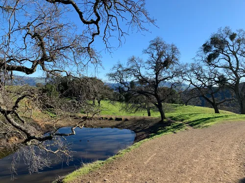 10 Best Trails and Hikes in Sunol | AllTrails