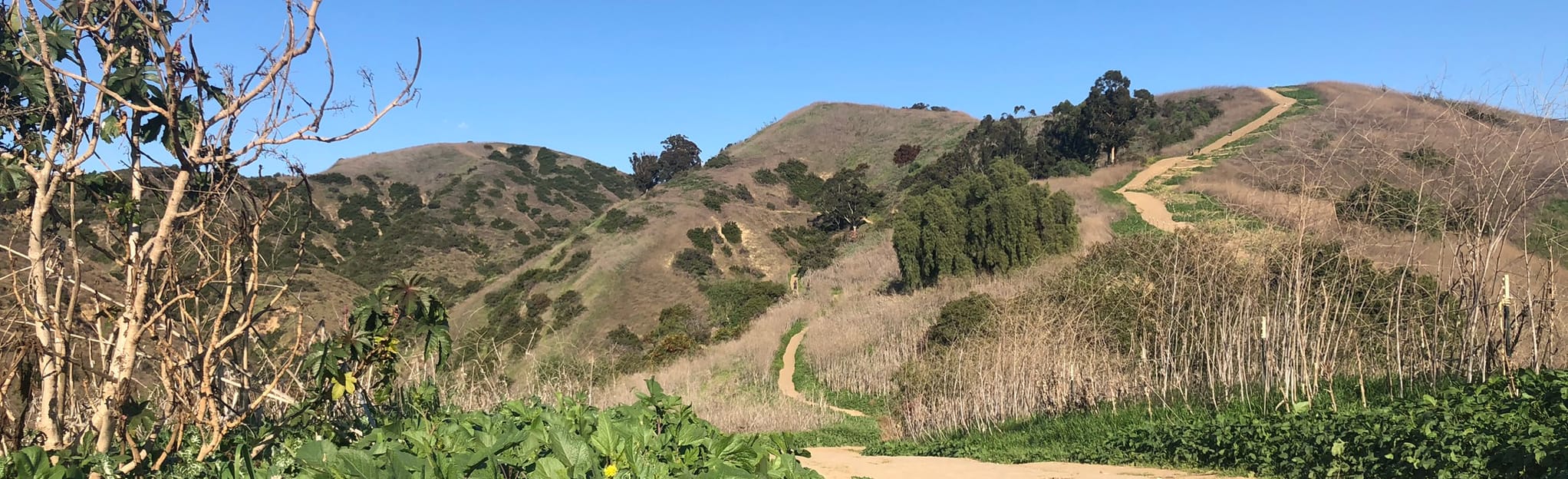 Peppergrass to Rattlesnake Ridge West Trail, California - 270 Reviews ...