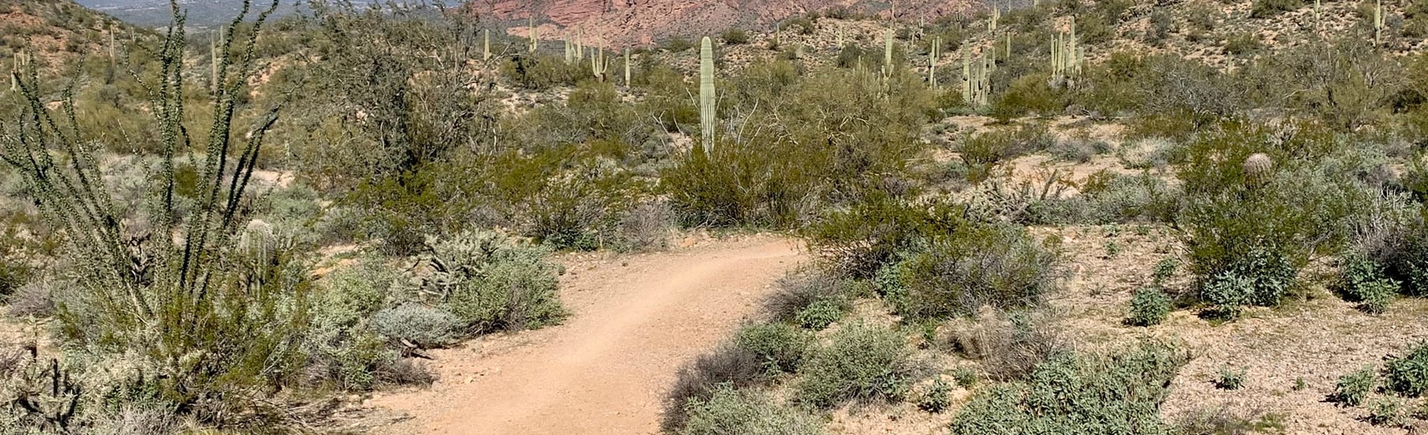 Hawes Ridge Loop, Arizona - 2,501 Reviews, Map | AllTrails