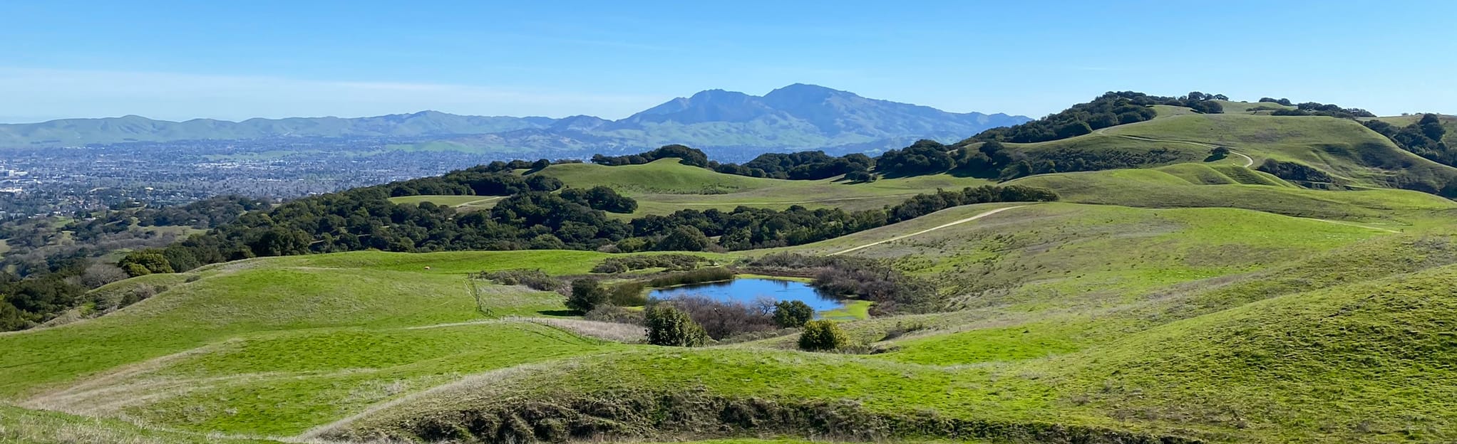 Briones Crest and Briones Ridge Loop, California - 294 Reviews, Map ...
