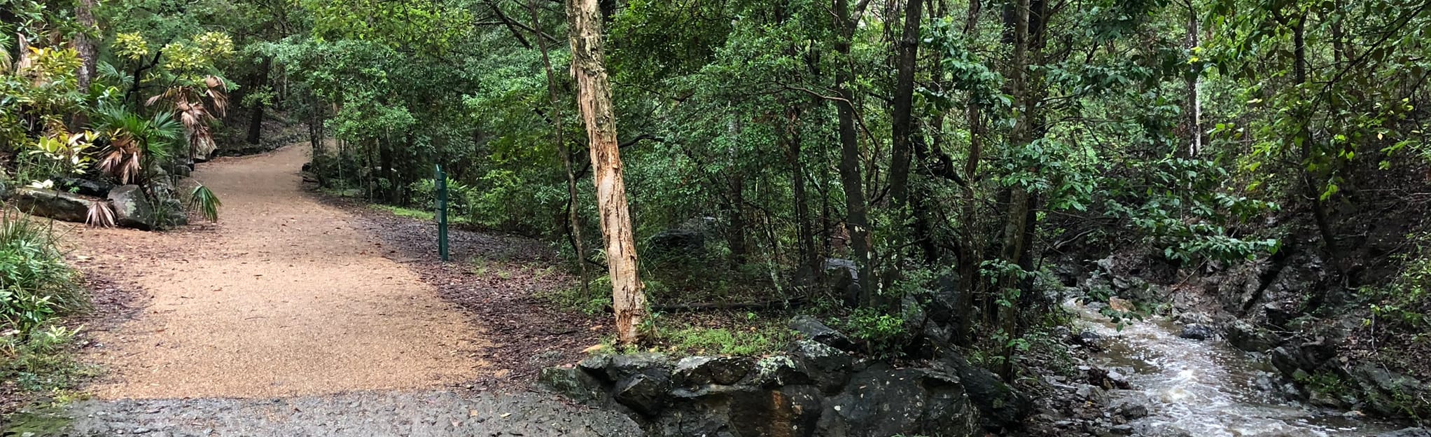 Summit Track, Aboriginal Art Trail and Litchfield Track, 283 Fotos ...