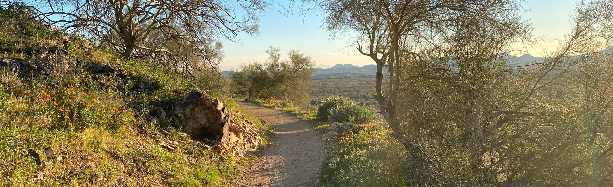 Sidewinder and Ocotillo Trail Loop, Arizona - 1,673 Reviews, Map ...