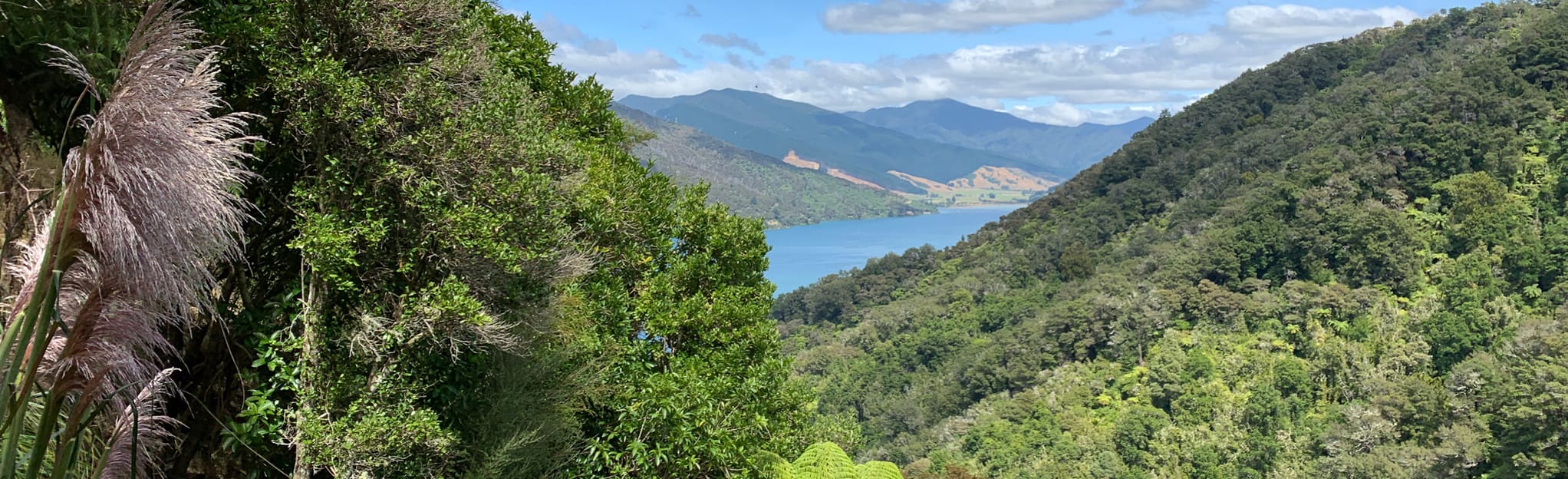 Anakiwa to Mistletoe Bay via Queen Charlotte Track, Marlborough, New ...