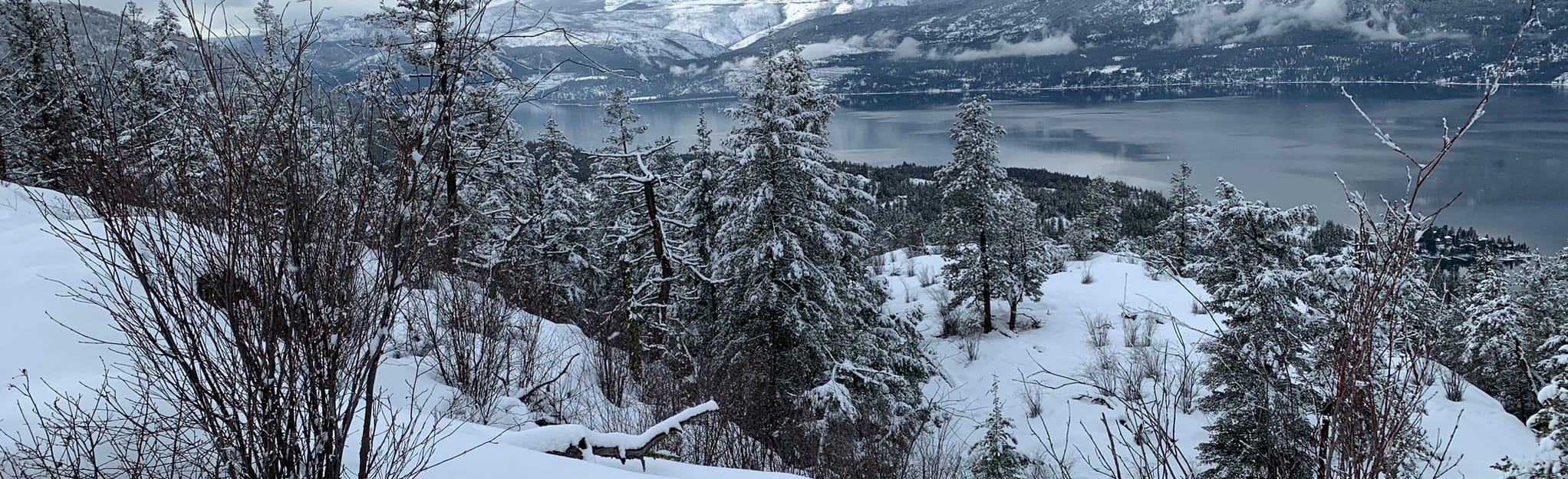 Okanagan Lake Viewpoint Loop: 162 foto's - British Columbia, Canada ...