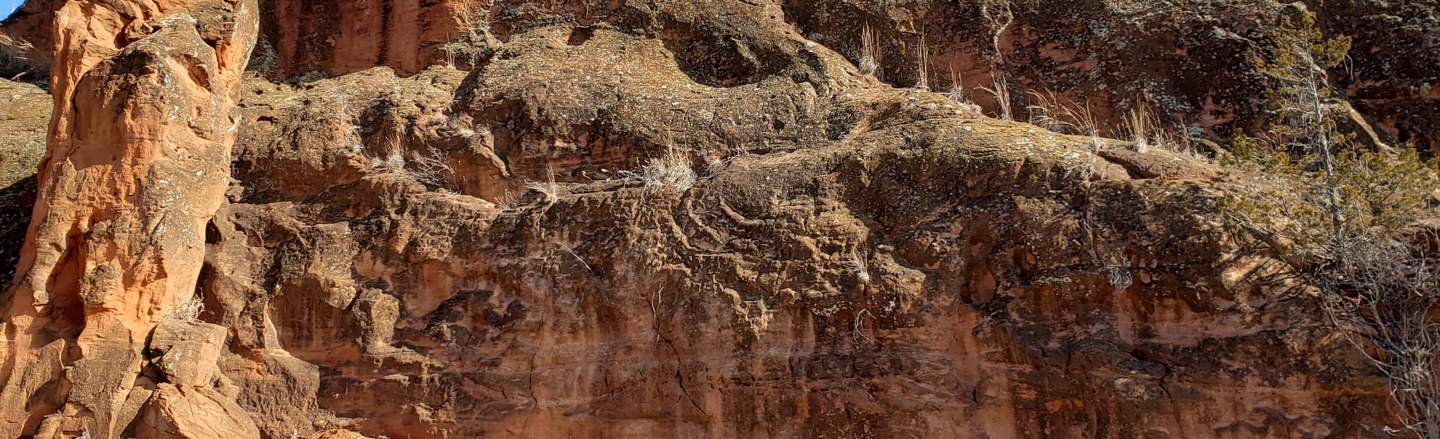 Red Rock Canyon Paved Trail: 65 Reviews, Map - Oklahoma | AllTrails