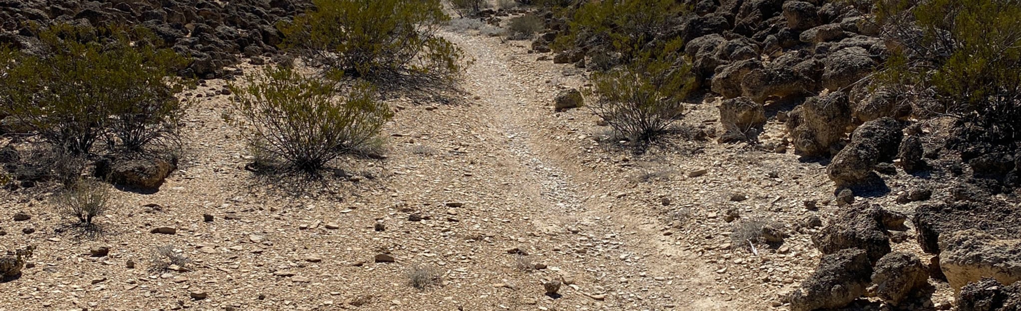 Lajitas Loop 3A, Texas - 18 Reviews, Map | AllTrails