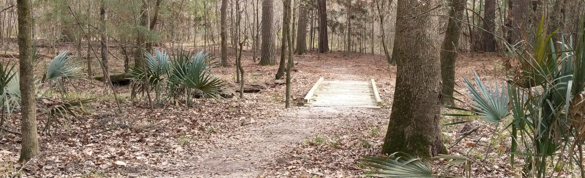 Spring Creek Nature Trail Burroughs Extension, Texas - 153 Reviews, Map ...