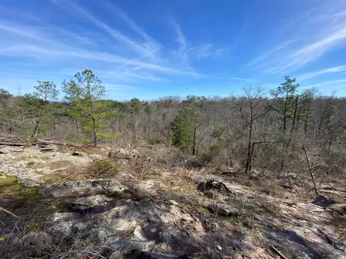 Best 10 Hiking Trails in Moss Rock Preserve | AllTrails