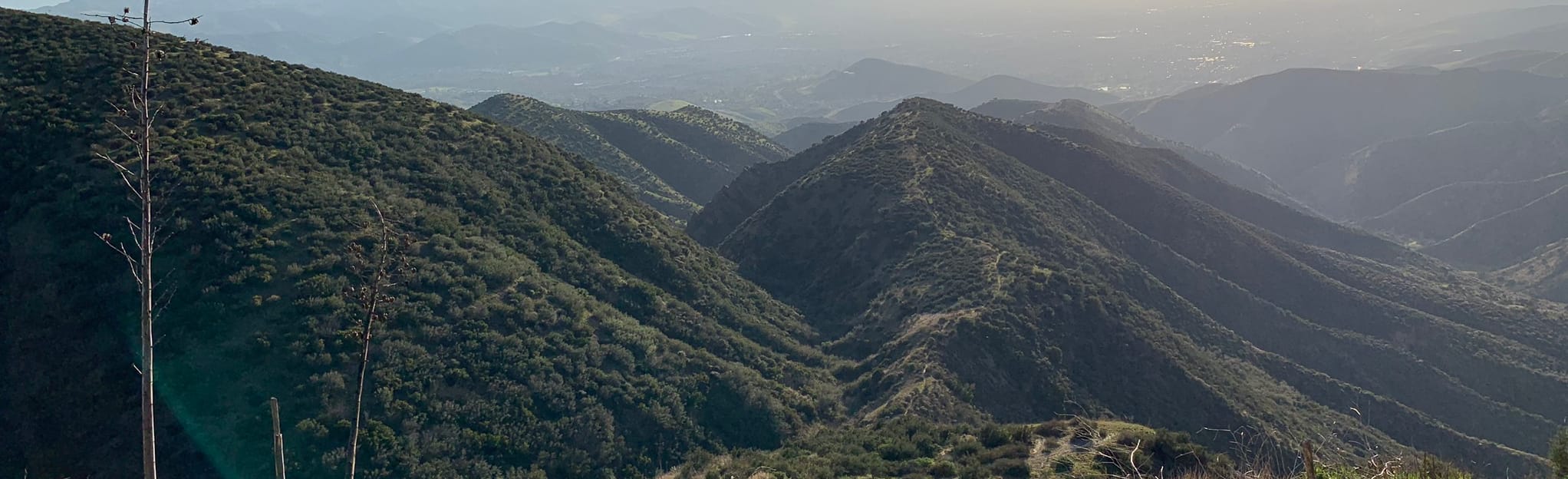 Las Llajas Canyon and Ridge Loop, California - 141 Reviews, Map | AllTrails