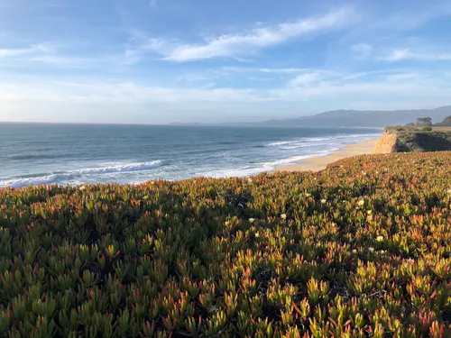 10 Best Trails and Hikes in Half Moon Bay | AllTrails