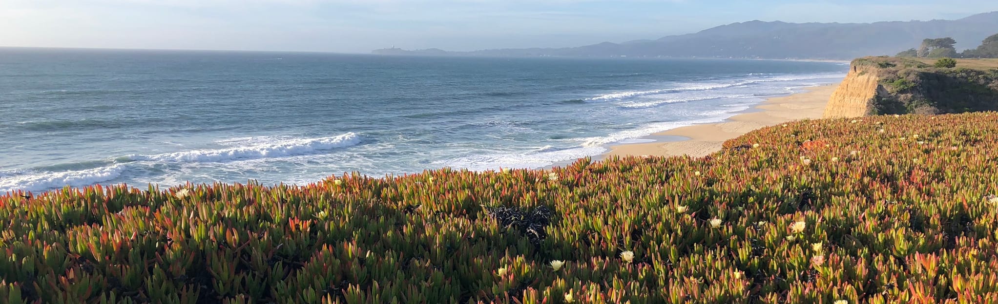 Redondo Beach via Coastal Trail Loop, California - 154 Reviews, Map ...