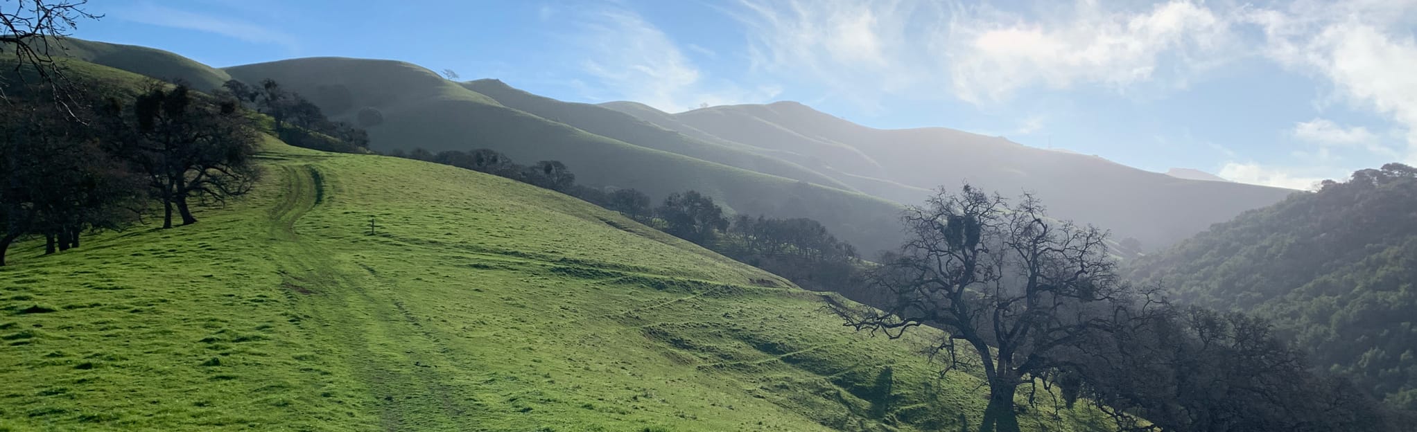Morgan Creek Road, Crestview Road, and Highland Ridge Trail Loop, 380 ...