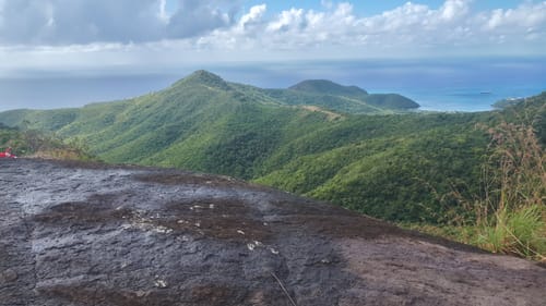 2023 Best Moderate Trails in Walling Nature Reserve | AllTrails