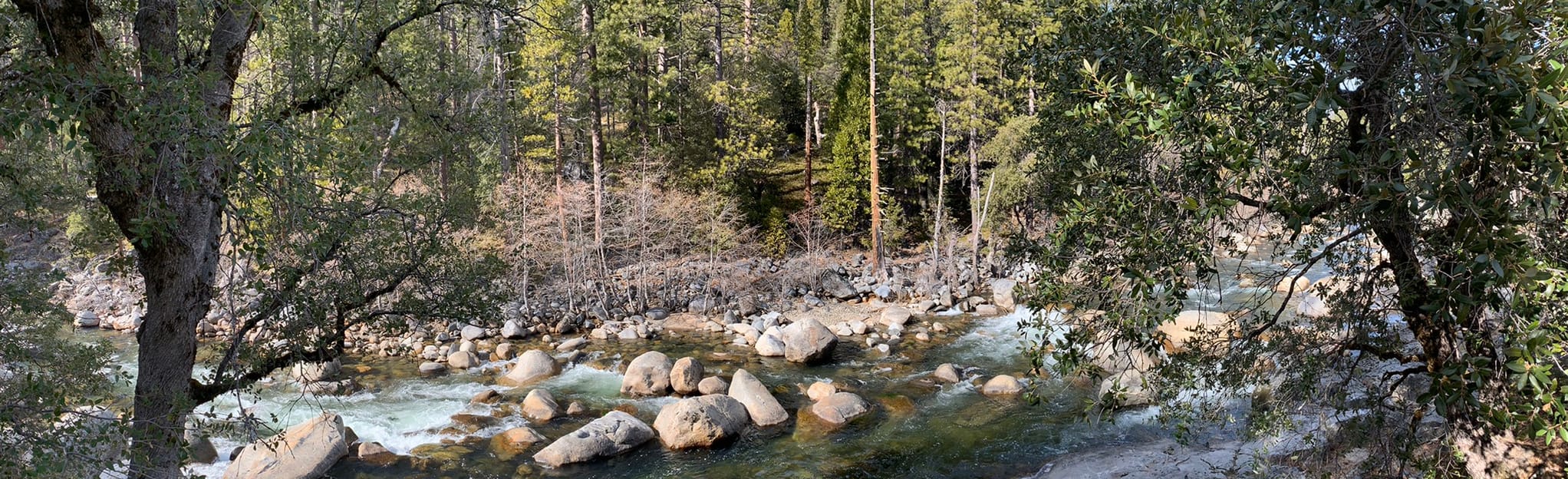 Sourgrass 4x4 Trail: 113 Reviews, Map - California | AllTrails