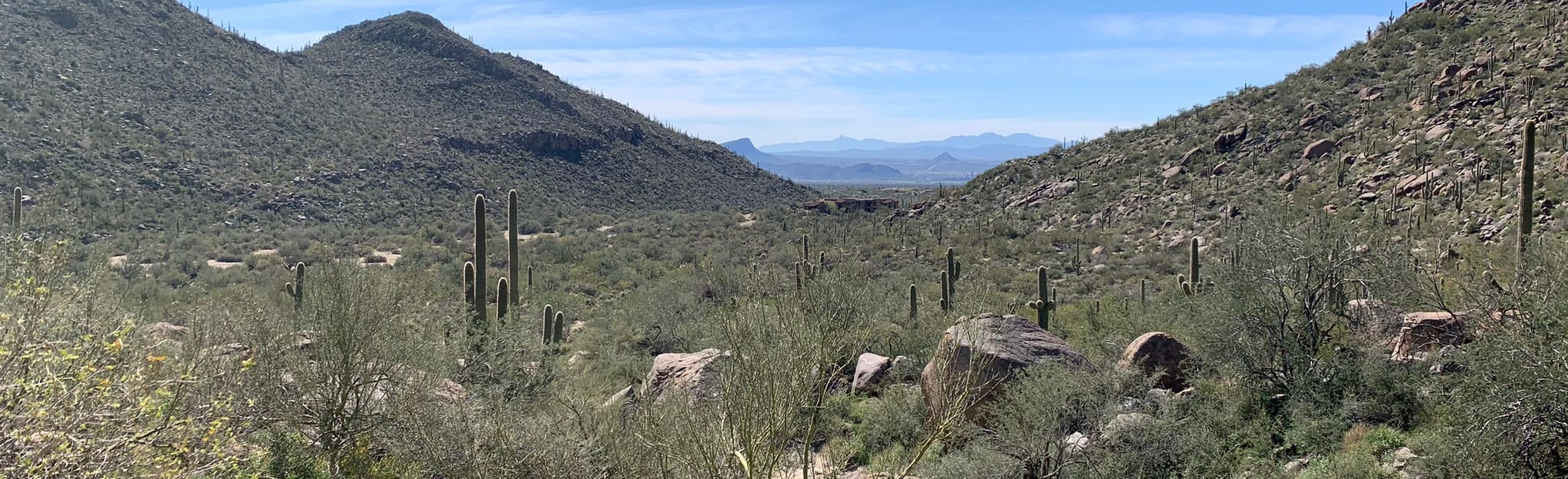 Lower Javelina and Wild Burro Short Loop | Map, Guide - Arizona | AllTrails