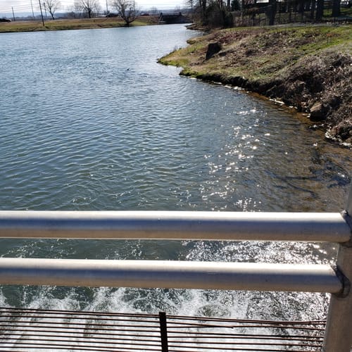 Best Hikes and Trails in Brahan Spring Park | AllTrails