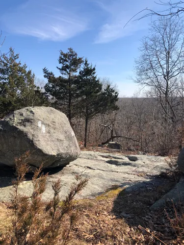 Best Hikes and Trails in Nehantic State Forest | AllTrails