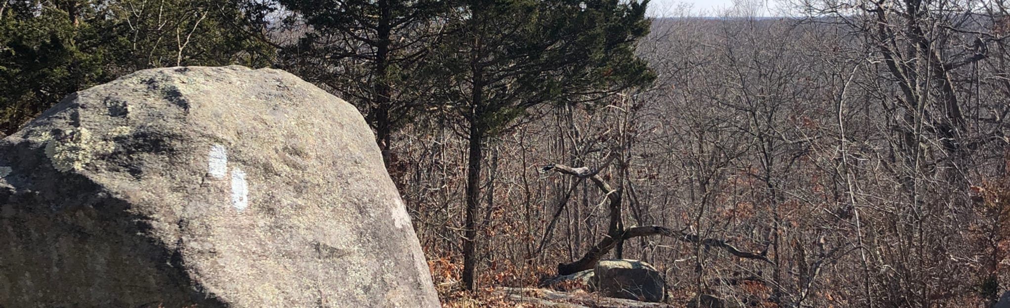 Nehantic Forest Loop: 275 Reviews, Map - Connecticut | AllTrails