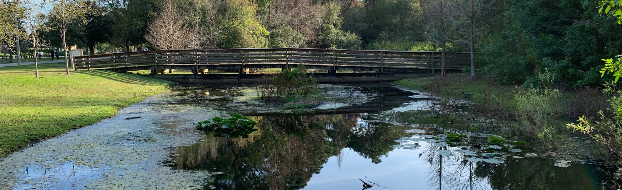 Al Lopez Park Trail: 237 Reviews, Map - Florida | AllTrails