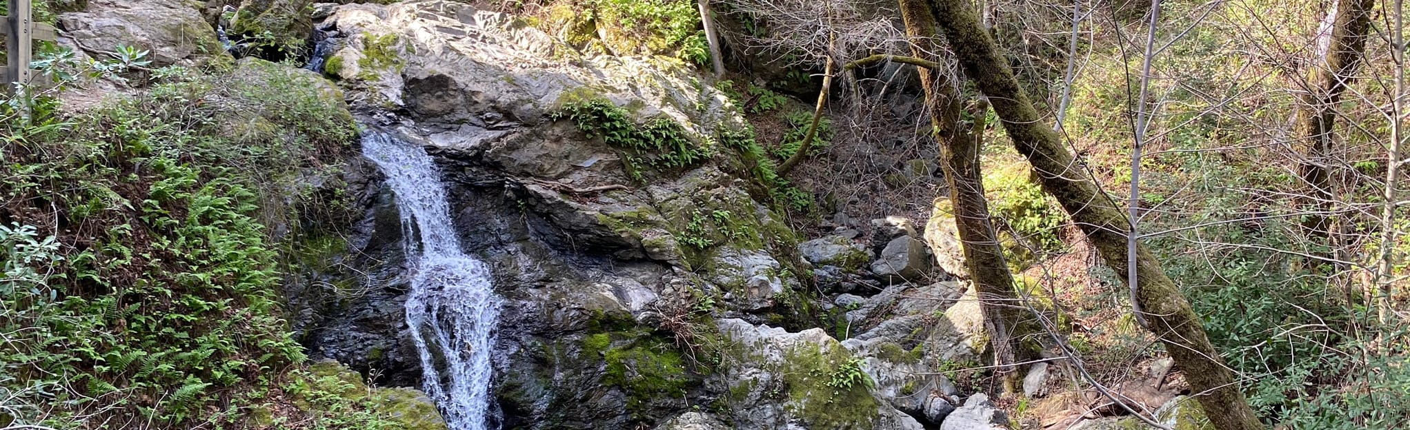 Cascade Falls and Carry Camp Loop - California | AllTrails