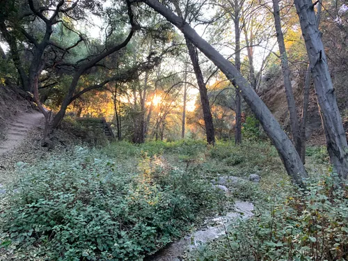 Best Hikes and Trails in Monrovia Canyon Park | AllTrails