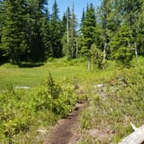 Eagle Lake, Washington - 45 Reviews, Map | AllTrails